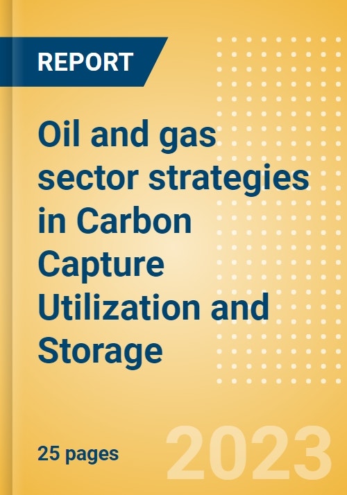 Oil and gas sector strategies in Carbon Capture Utilization and Storage
