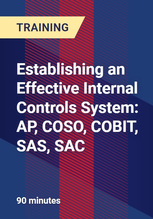 Establishing an Effective Internal Controls System: AP, COSO, COBIT ...
