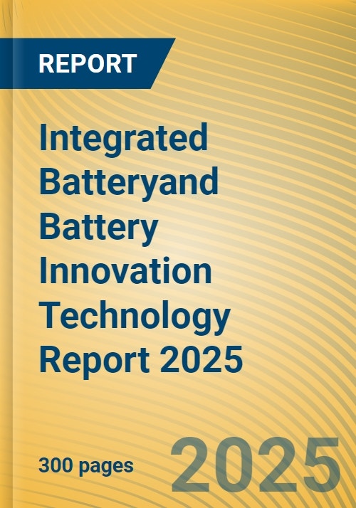 Integrated Battery (CTP, CTB, CTC, and CTV)and Battery Innovation Technology Report 2025