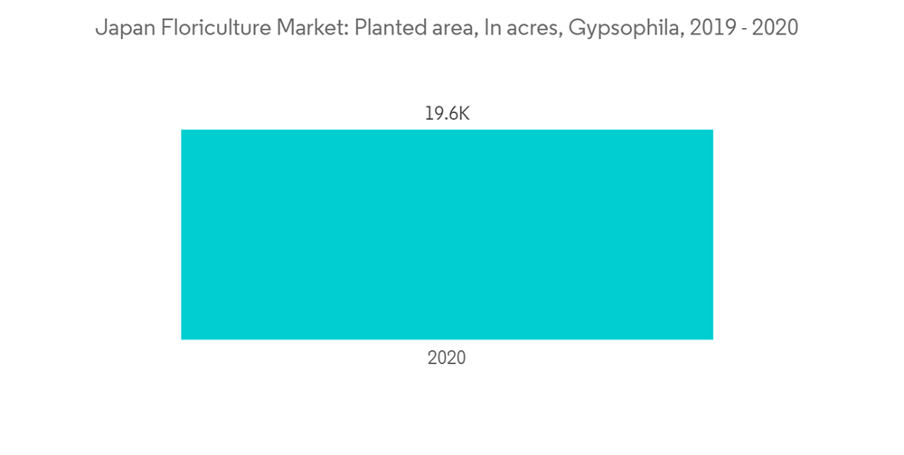 Japan Floriculture Market - Growth, Trends, and Forecasts (2023-2028)