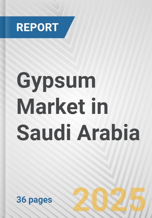 Gypsum Market in Saudi Arabia