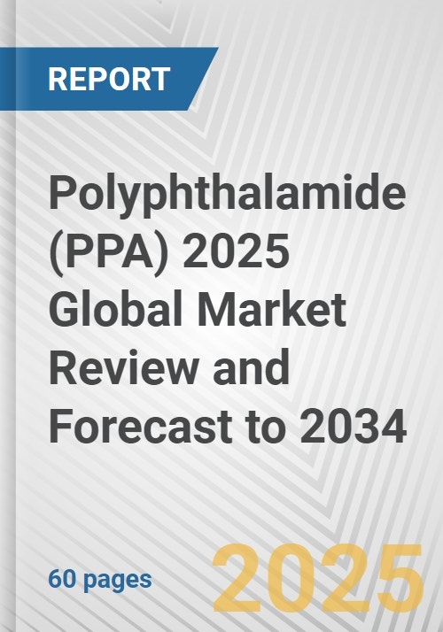 Polyphthalamide (PPA) 2025 Global Market Review and Forecast to 2034