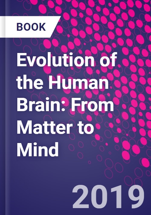 Evolution of the Human Brain: From Matter to Mind