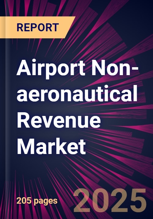 Airport Non-aeronautical Revenue Market Size & Competitors