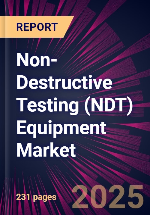 Non-Destructive Testing (NDT) Equipment Market 2025-2029