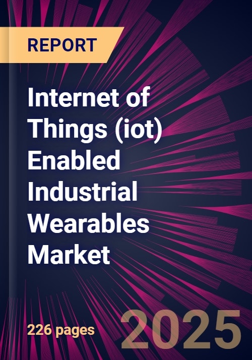 Internet of Things (iot) Enabled Industrial Wearables Market 2025-2029