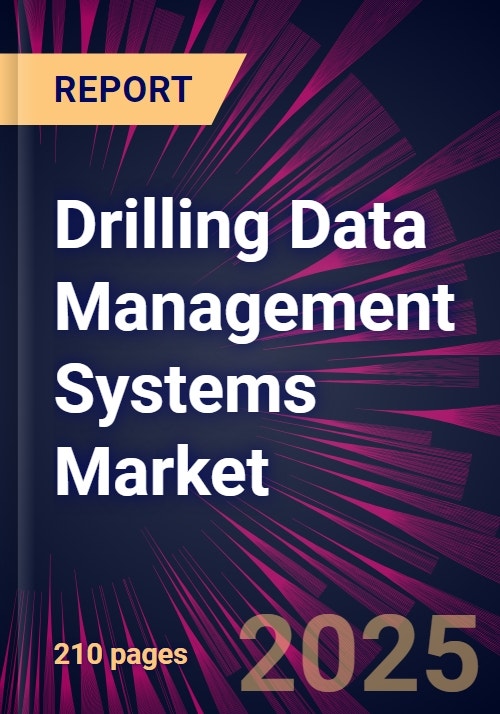 Drilling Data Management Systems Market Size & Competitors