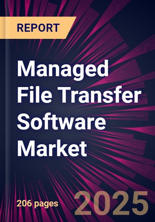Managed File Transfer Software Market Size & Competitors