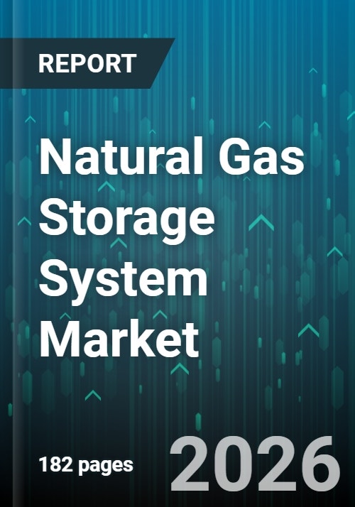 Natural Gas Storage System Market - Global Forecast 2025-2030