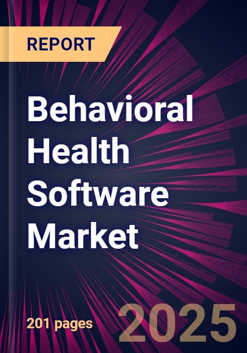 Behavioral Health Software Market Size & Competitors