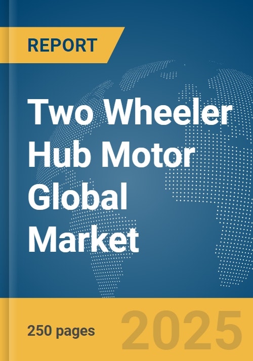 Two Wheeler Hub Motor Global Market Report 2025