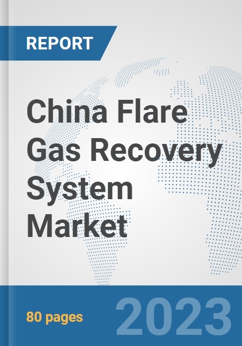 China Flare Gas Recovery System Market Size & Competitors