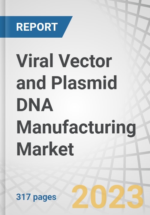 Viral Vector and Plasmid DNA Manufacturing Market - Global Forecast to 2028