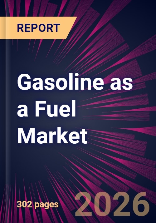 Gasoline as A Fuel Market Size, Competitors & Forecast