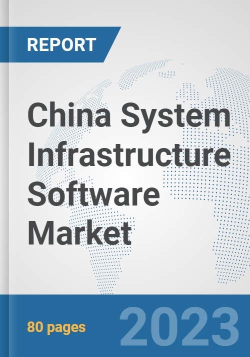 China System Infrastructure Software Market Size & Trends