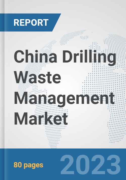 China Drilling Waste Management Market Size & Competitors