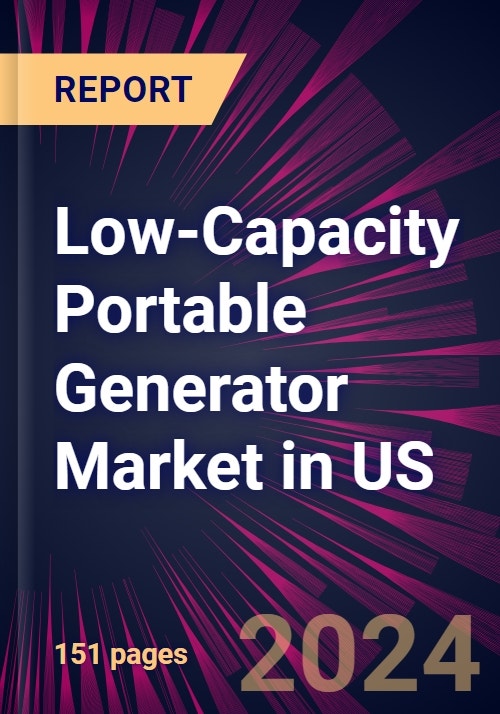 Low-Capacity Portable Generator Market in US