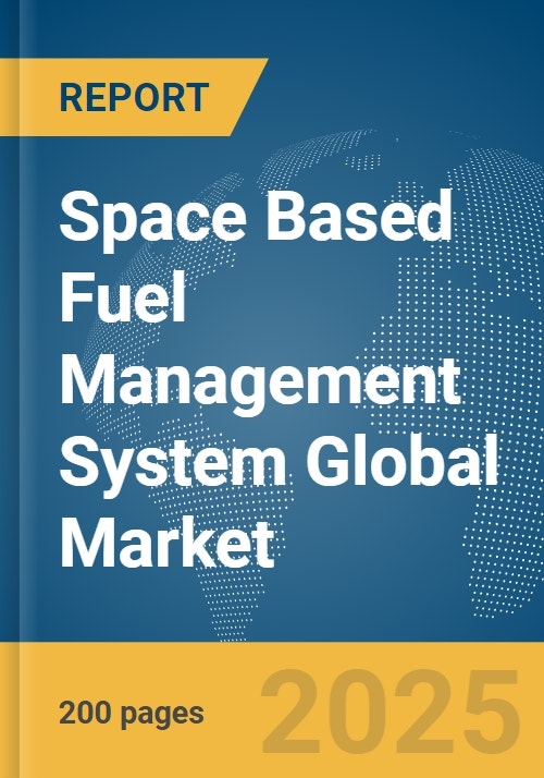 Space Based Fuel Management System Global Market Size