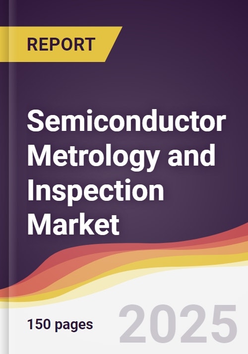 Semiconductor Metrology and Inspection Market Report: Trends, Forecast ...