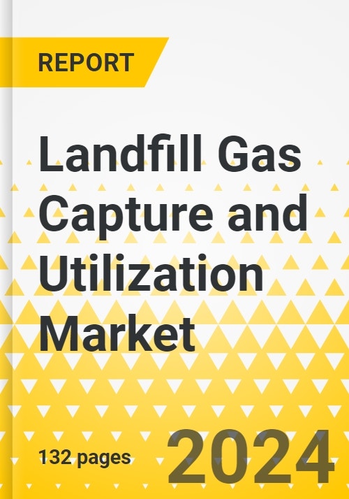 Landfill Gas Capture and Utilization Market: A Global and Regional ...
