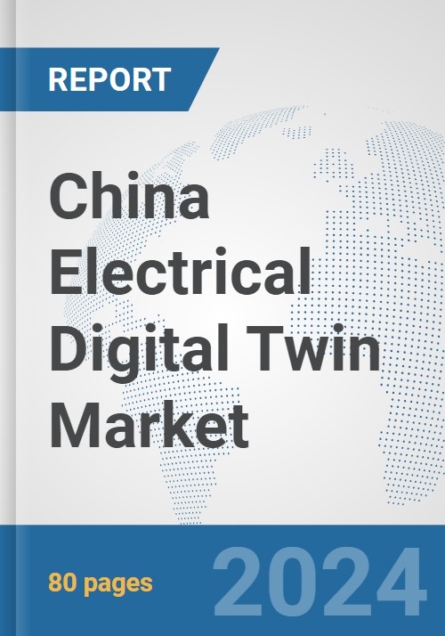 China Electrical Digital Twin Market Size & Competitors
