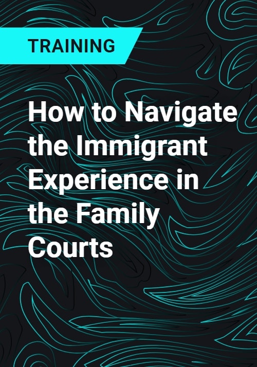 How to Navigate the Immigrant Experience in the Family Courts