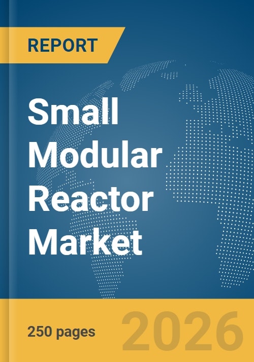 Small Modular Reactor Market Report 2026 - Research and Markets