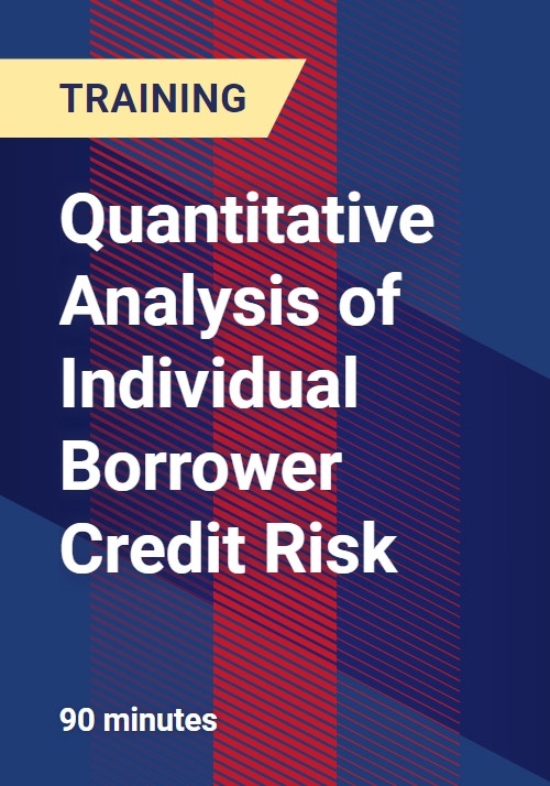 Quantitative Analysis of Individual Borrower Credit Risk