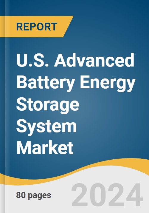 U.S. Advanced Battery Energy Storage System Market Size, Share & Trends Analysis Report By ...