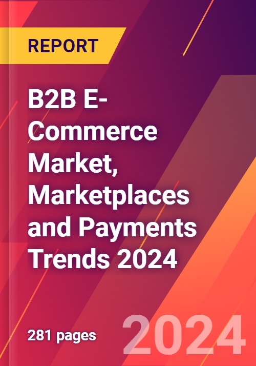 B2B E-Commerce Market, Marketplaces and Payments Trends 2024