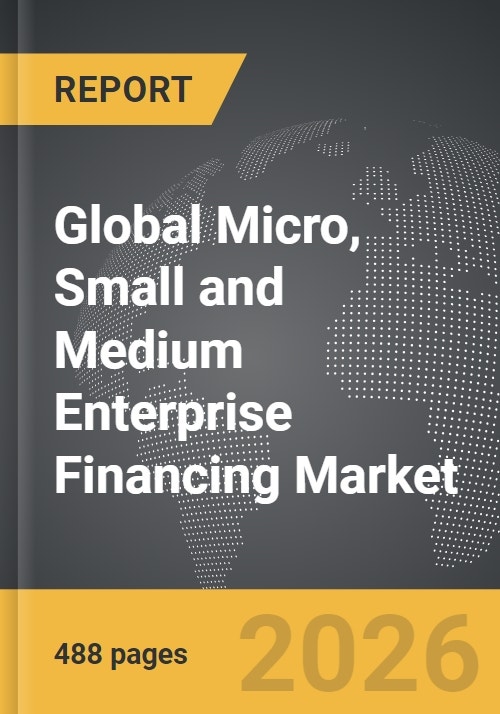 Micro, Small and Medium Enterprise (MSME) Financing - Global Strategic ...
