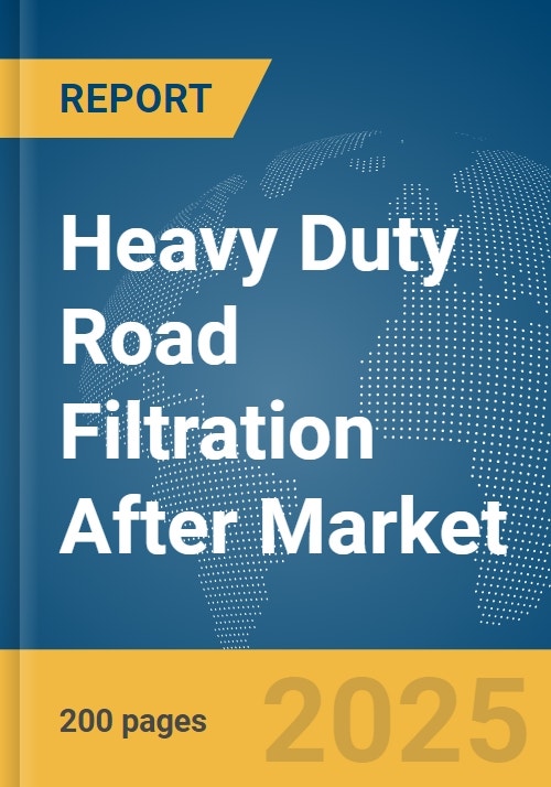 Heavy Duty Road Filtration After Market Report 2025