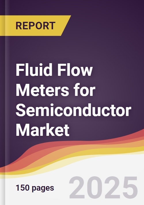 Fluid Flow Meters for Semiconductor Market Report: Trends, Forecast and ...