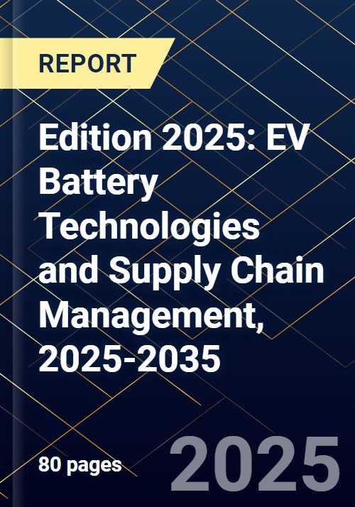 Edition 2025: EV Battery Technologies and Supply Chain Management, 2025 ...
