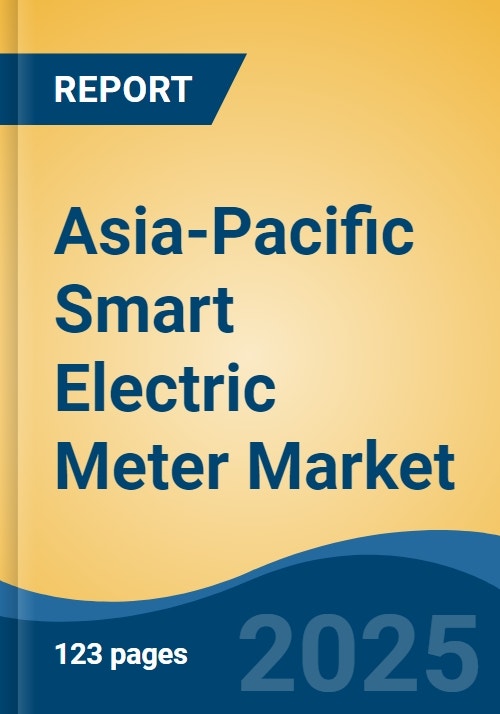 Asia-Pacific Smart Electric Meter Market, By Country, Competition ...