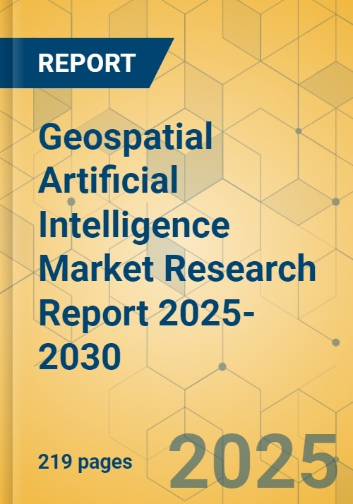 Geospatial Artificial Intelligence Market Research Report 2025-2030