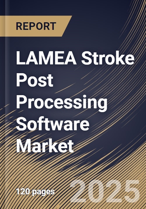 LAMEA Stroke Post Processing Software Market Size & Trends