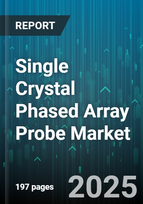 Single Crystal Phased Array Probe Market - Global Forecast to 2030