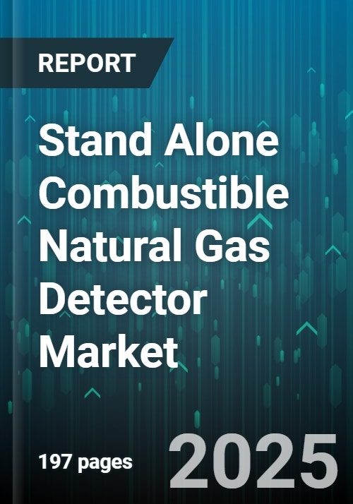 Stand Alone Combustible Natural Gas Detector Market - Global Forecast ...