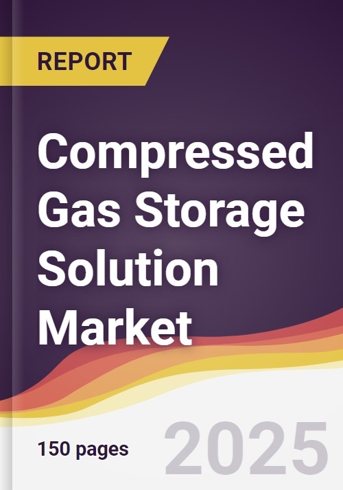 Compressed Gas Storage Solution Market Report: Trends, Forecast and ...