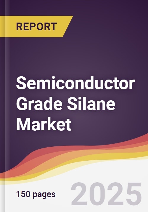 Semiconductor Grade Silane Market Report: Trends, Forecast and ...