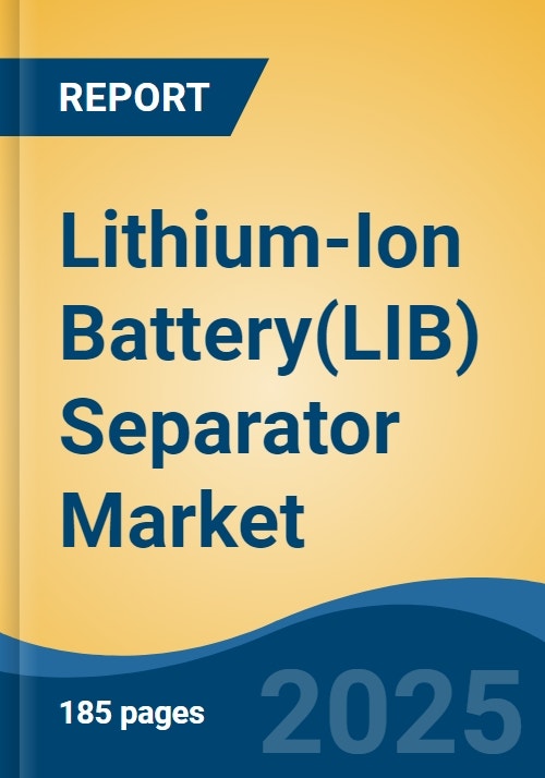 Lithium-Ion Battery(LIB) Separator Market - Global Industry Size, Share ...