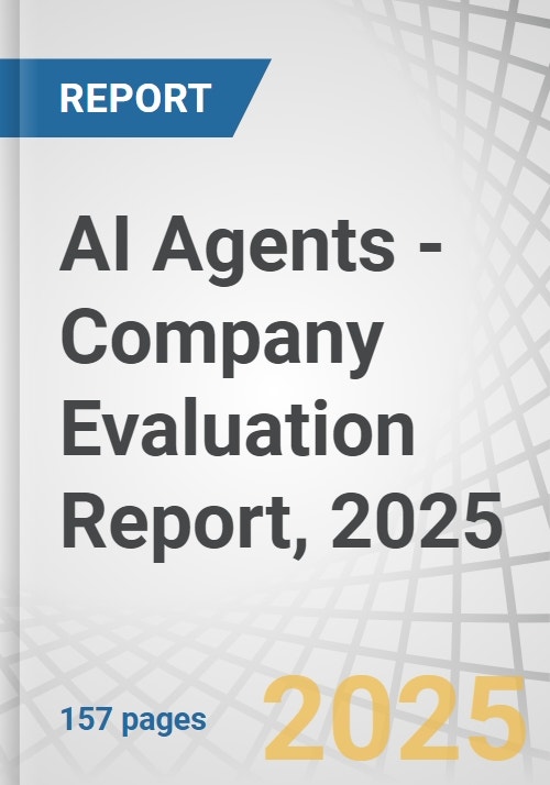 AI Agents - Company Evaluation Report, 2025