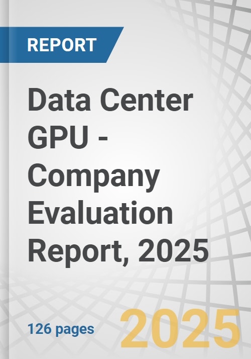Data Center GPU - Company Evaluation Report, 2025