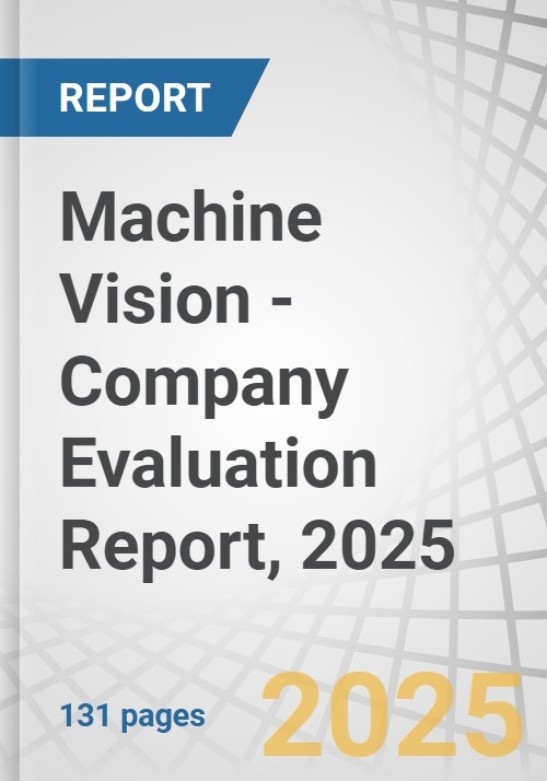 Machine Vision - Company Evaluation Report, 2025