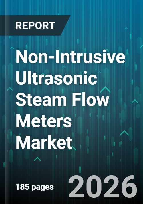 Non-Intrusive Ultrasonic Steam Flow Meters Market - Global Forecast ...