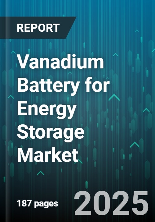 Vanadium Battery for Energy Storage Market - Global Forecast 2025-2030