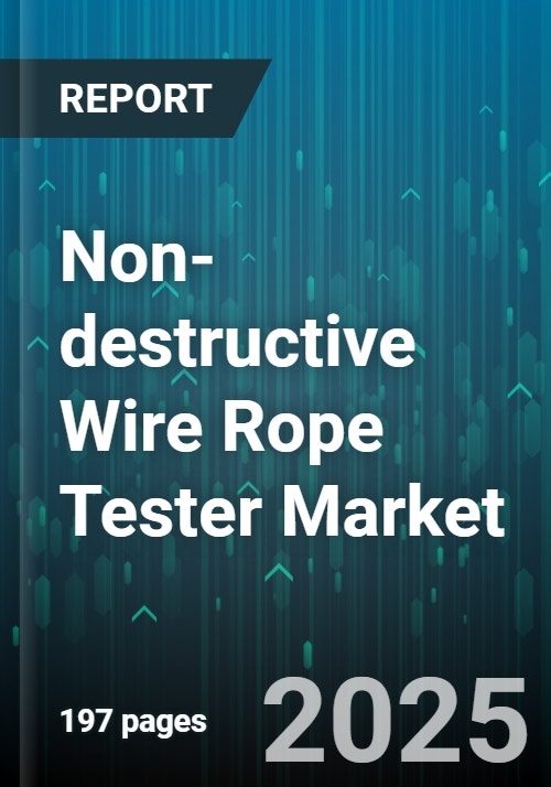 Non-destructive Wire Rope Tester Market - Global Forecast 2025-2030