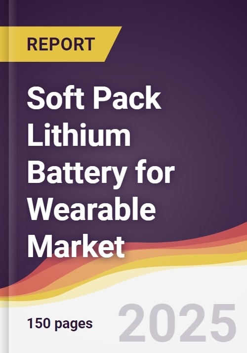 Soft Pack Lithium Battery For Wearable Market Report: Trends, Forecast ...