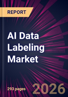 AI Data Labeling Market 2025-2029 - Research and Markets